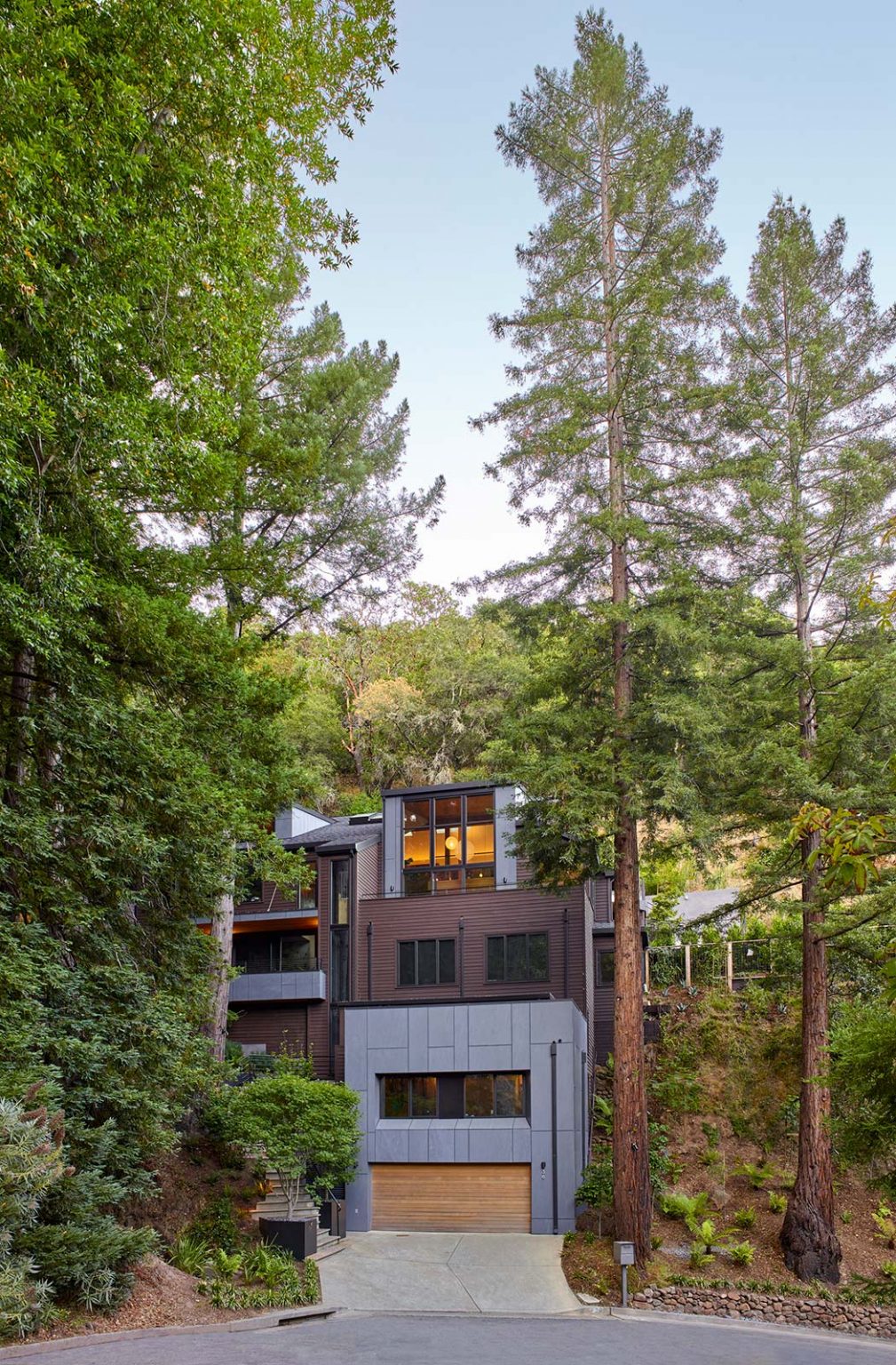 In the Redwoods - Shades of Green Landscape Architecture
