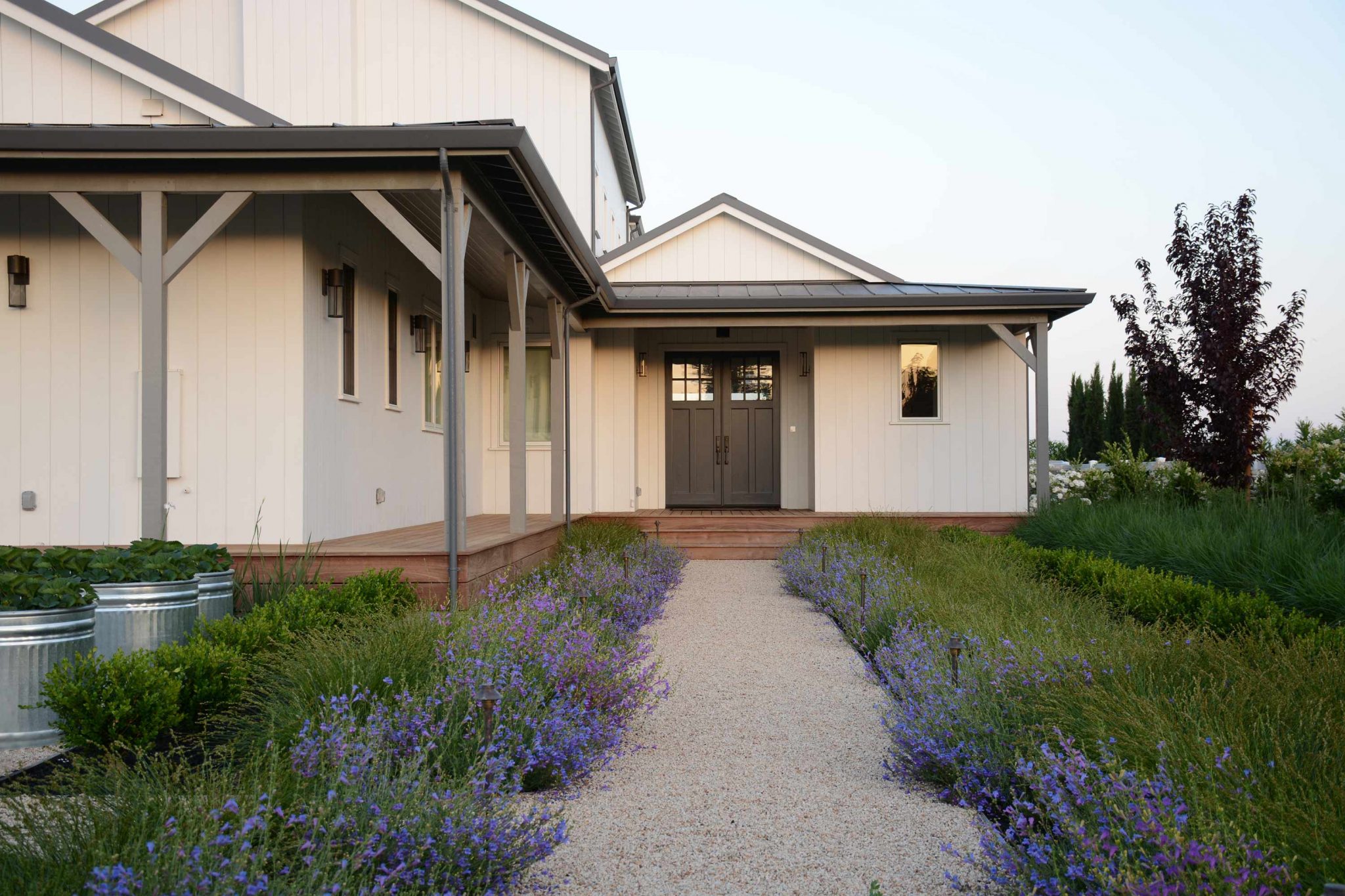 In the Vineyard - Shades of Green Landscape Architecture