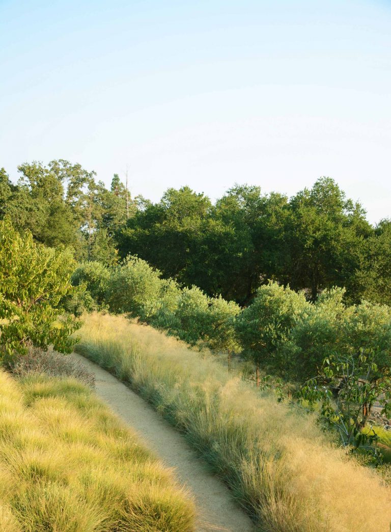 No Fuss Landscape - Shades of Green Landscape Architecture