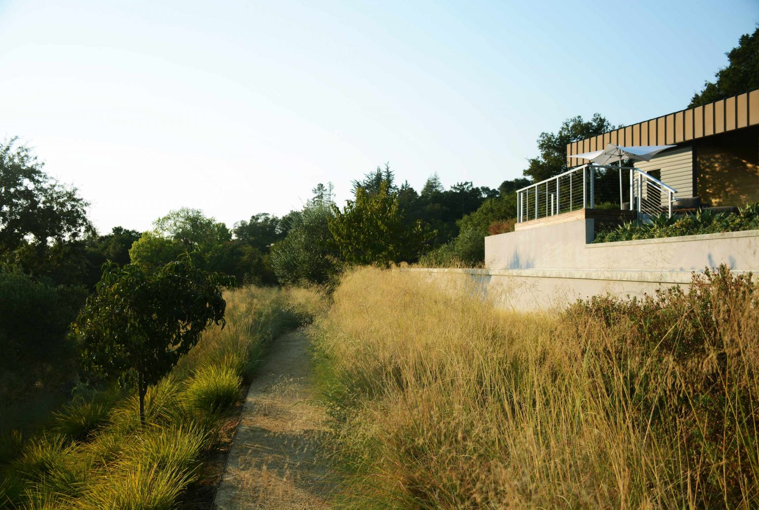 No Fuss Landscape - Shades of Green Landscape Architecture