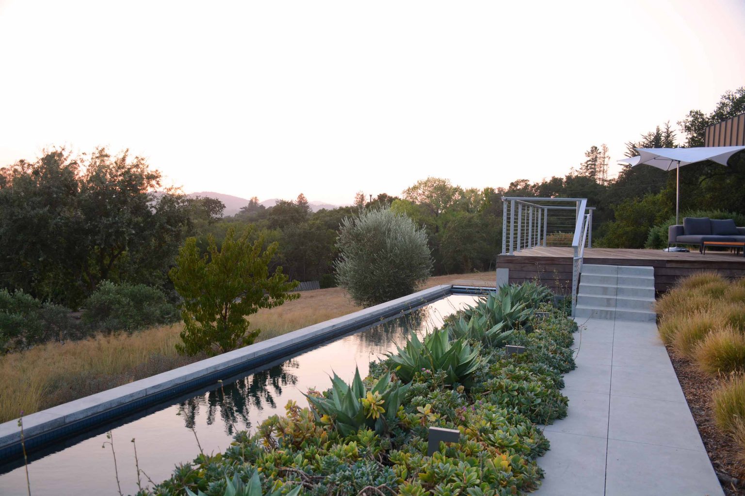 No Fuss Landscape - Shades of Green Landscape Architecture