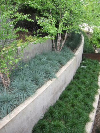 Terraced Garden - Shades of Green Landscape Architecture