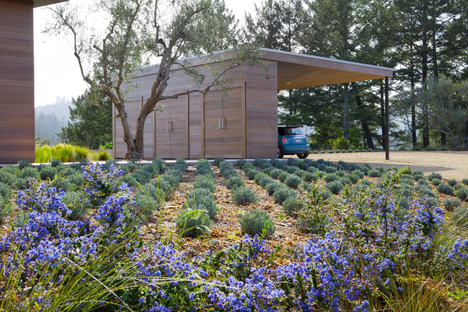 LEED Platinum by the Bay - Shades of Green Landscape Architecture