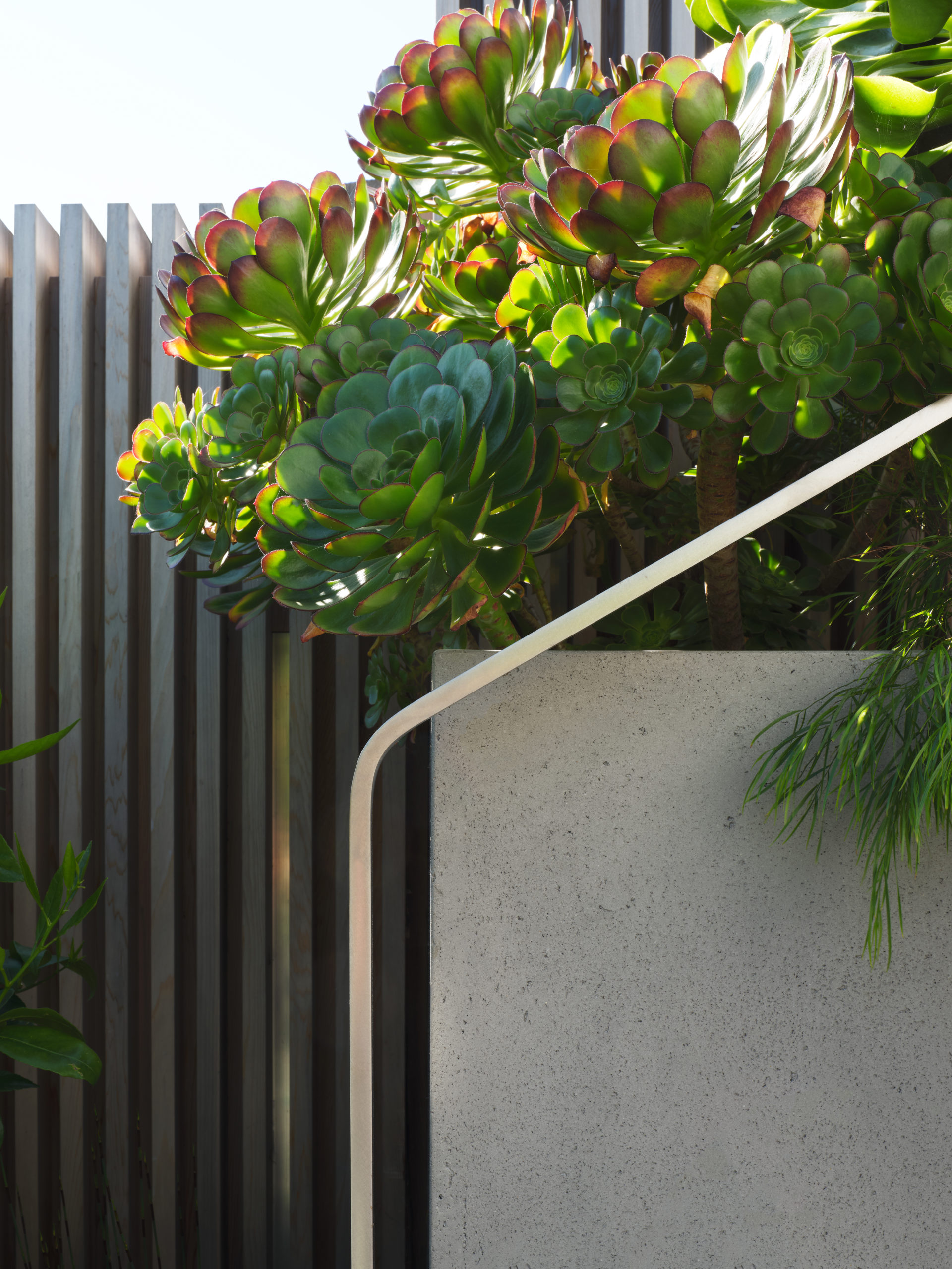 Serene and Green - Shades of Green Landscape Architecture